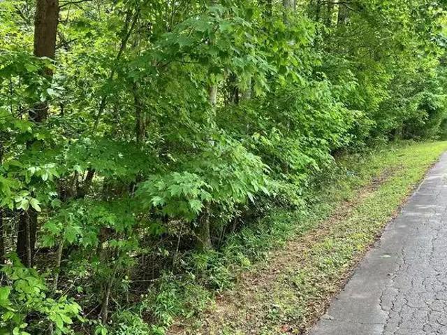 0 John Byrd Rd #6, Morganton, NC 28655 MLS 4165361