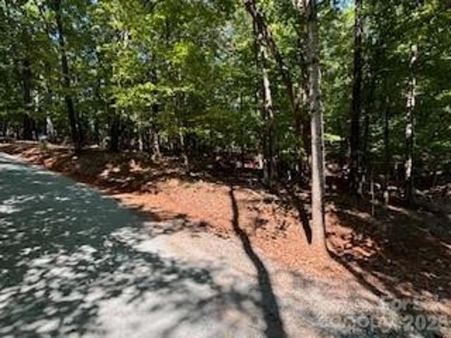 0 Johnson Cir, Lake Lure, NC 28746 | MLS #4351