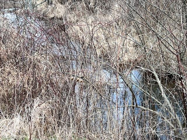 0 Johnson Bethel Road