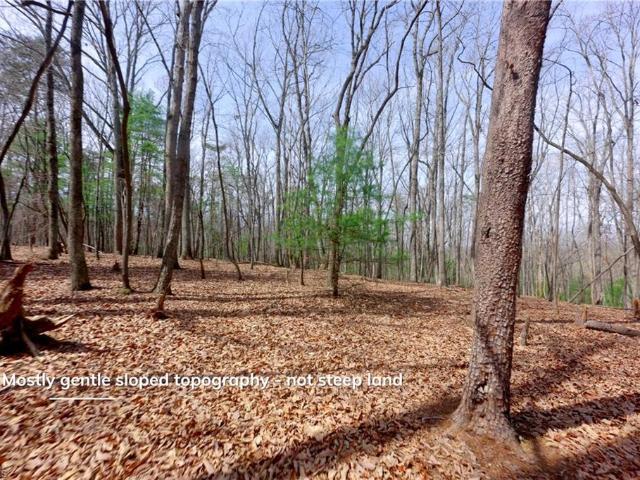 0 Johnson Farm Road #2