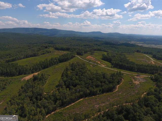 0 Johnson Mountain Rd, Unit 7401I, Fairmount, GA 30139 | MLS #10609