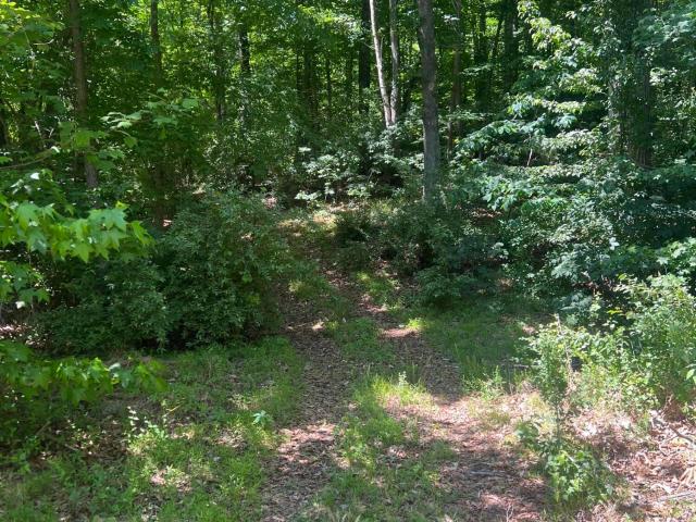 0 Jones Ferry Road