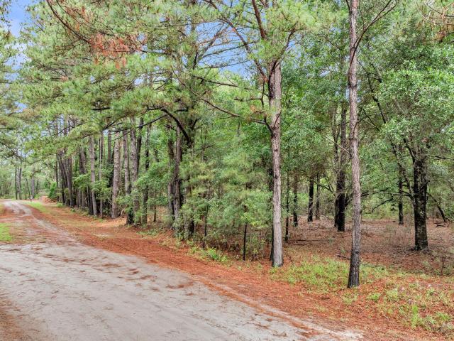 0 Josie Ridge Road Lot 23