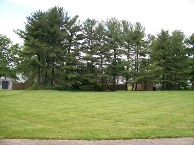 0 Joy Court