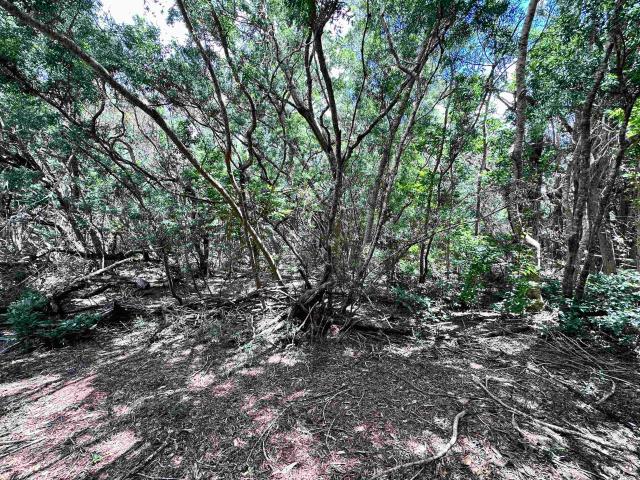 0 Kahanui Acres Pl, Unit LOT A, Kualapuu, HI 96757 | MLS #400247