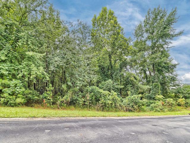 0 Kelsey Glen Drive