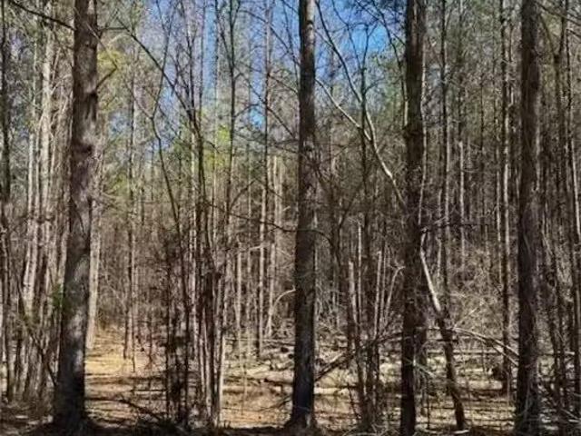 0 KENSINGTON BOULEVARD, MCCALLA, AL 35111 Vacant Land For Sale.