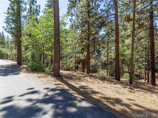 0 Kern, Sugarloaf, CA 92386 | MLS #IG25218
