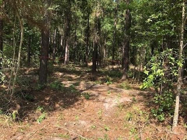 0 Kickapoo Tract 33 Colt II Road