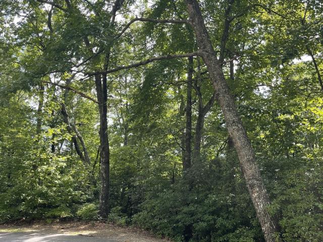 0 Kingwood Dr, Unit LOT 104CC, Clayton, GA 30525 | MLS #10359 | Compass
