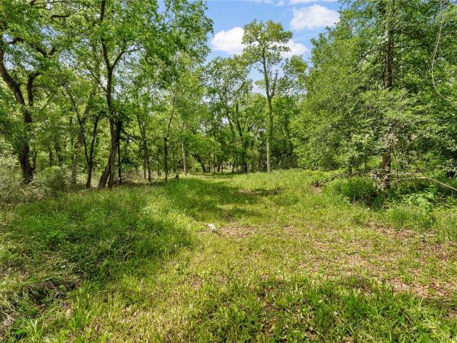 0 King's Oak Dr, Damon, TX 77430 | MLS #41570
