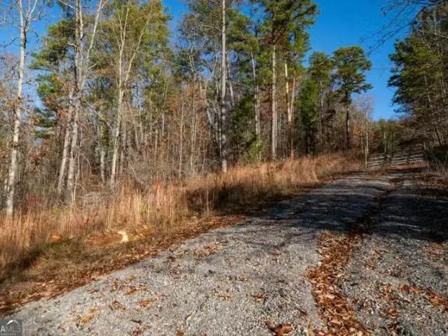 0 KINGSTON HIGHWAY, KINGSTON, GA 30145 Vacant Land For Sale M.