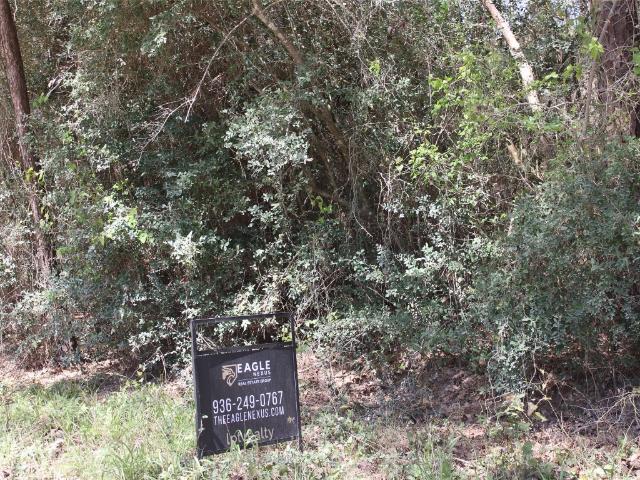 0 Knotty Pine Lane