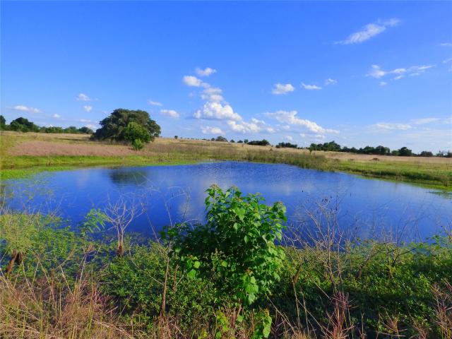 0 Kramr Rd, Fayetteville, TX 78940 | MLS #70288