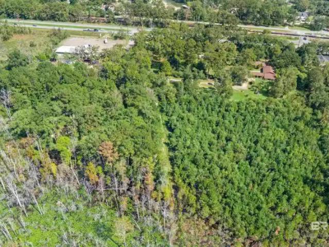 0 LUCAS ROAD, AXIS, AL 36505 Vacant Land For Sale MLS# 376963