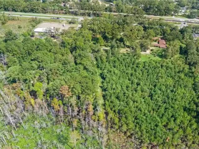 0 LUCAS ROAD, AXIS, AL 36505 Vacant Land For Sale MLS# 7553231