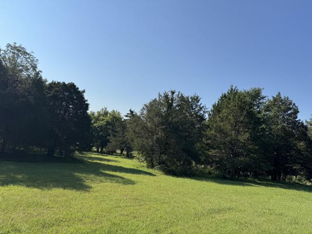 0 Lunns Store Rd, Chapel Hill, TN 37034 | MLS #3059