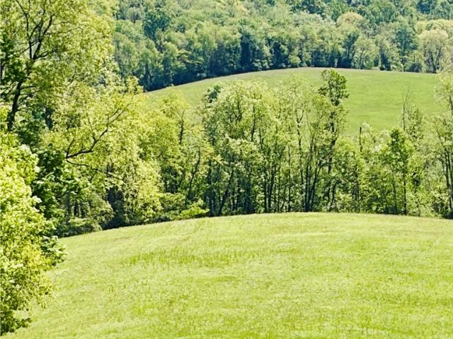 0 Lyons Rd LOT 4