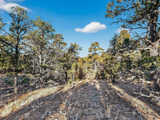 0 La Posta Way Tract 7 2, Santa Fe, US, NM