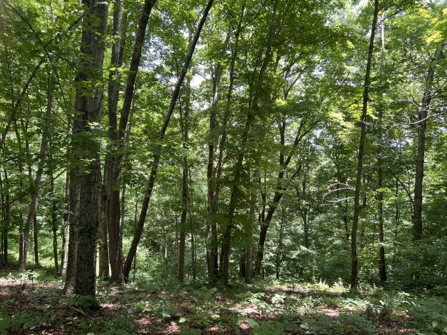 0 Lafever Ridge Rd