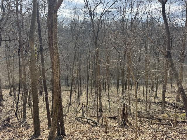 0 Lakeview Dr, Smithville, TN 37166 | MLS #3137
