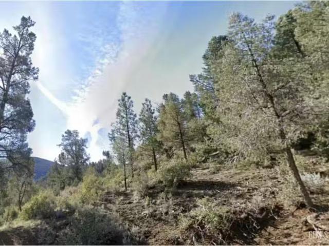 0 LAKEVIEW DRIVE, FRAZIER PARK, CA 93225 Vacant Land For Sale.