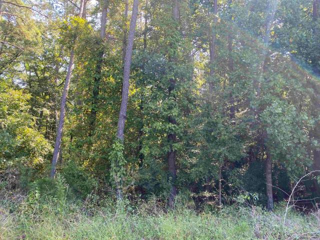 0 Lakewood Northeast Way, Unit 637, Conyers, GA 30012 | MLS #20146 | Compass