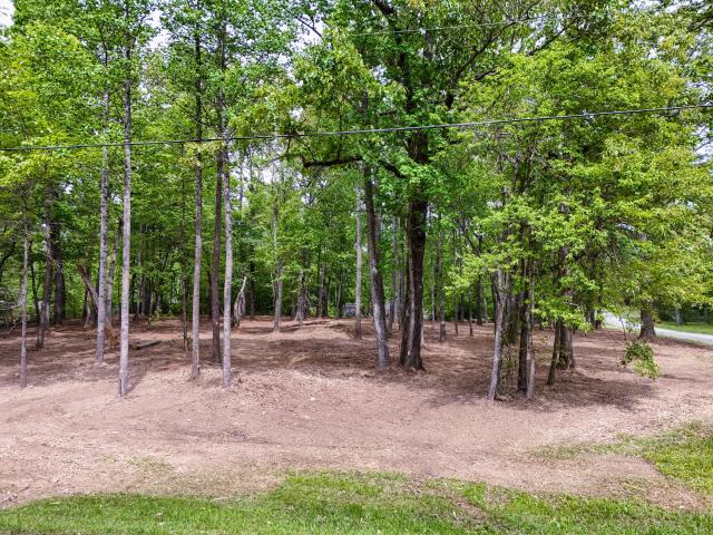 0 Lakewood Dr, Beechgrove, TN 37018 | MLS #3149
