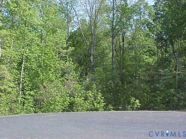 0 Lake Pointe Ct, Pamplin, VA 23958 | MLS #2608