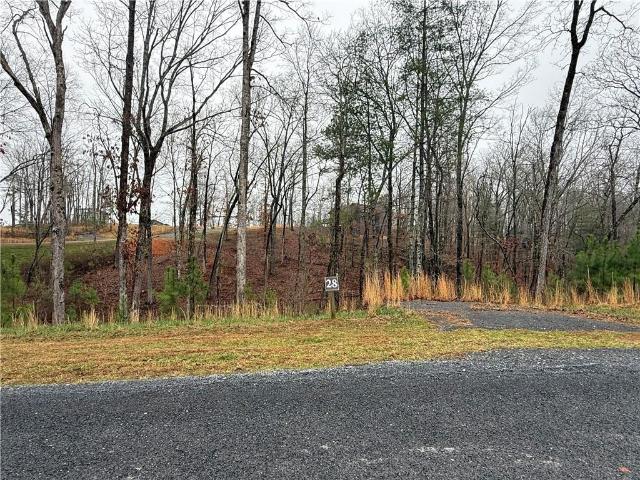 0 Lake Top Ln, Ellijay, GA 30536 | MLS #7731