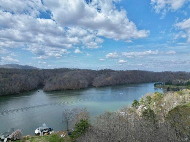 0 Lakes Edge Dr Lots 12 & 13, Goodview, VA 24095