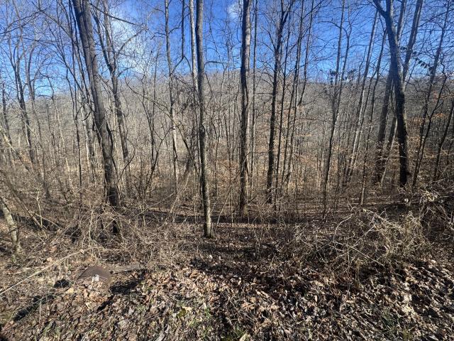 0 Lakeside Dr, Smithville, TN 37166 | MLS #3112 | Compass