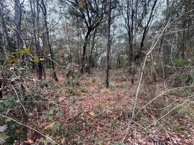 0 Landward Ln, Middleburg, FL 32068 | MLS #A11941