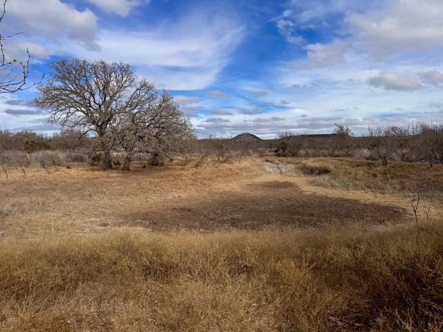 0 Langes Mill Rd, Doss, TX 78618 | MLS #96747 | Compass