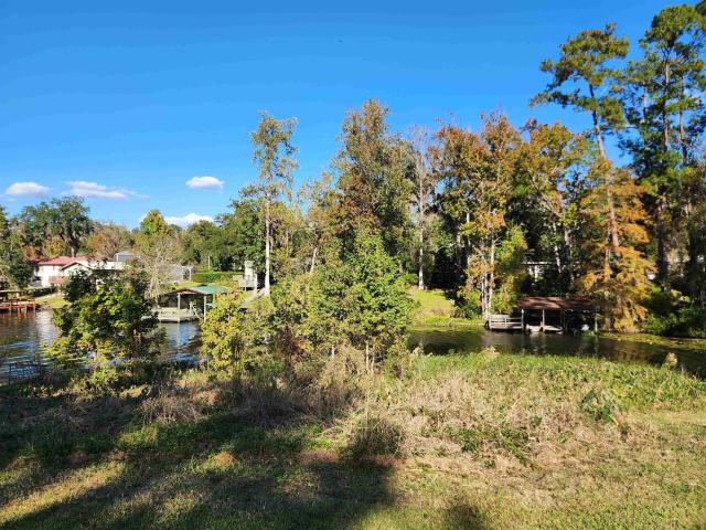 0 Lanier St, Tallahassee, FL 32310 | MLS #393233 | Compass