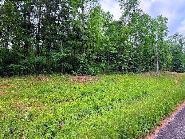 0 Largent Trail