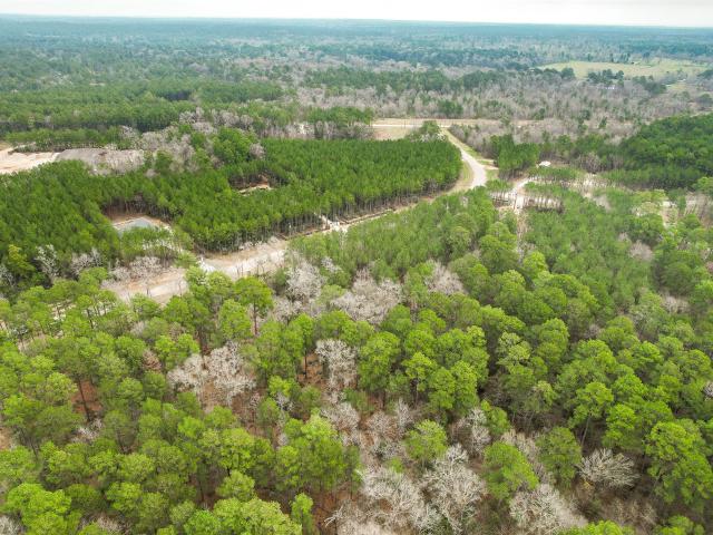 0 Larkspur Ln, Huntsville, TX 77340 | MLS #13617