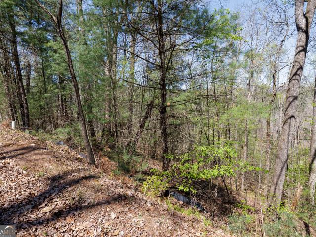0 Laurel Trail LOT 54