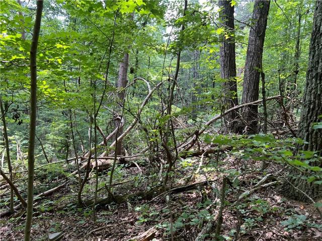 0 Lavender Trail, Rome, GA 30165 | MLS #7806