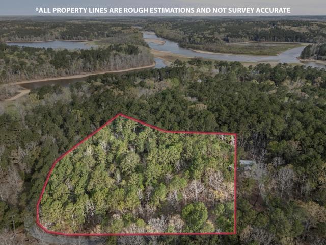 0 Lbk Cir, Tignall, GA 30668 | MLS #98254