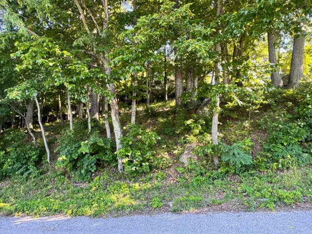 0 Leconte St