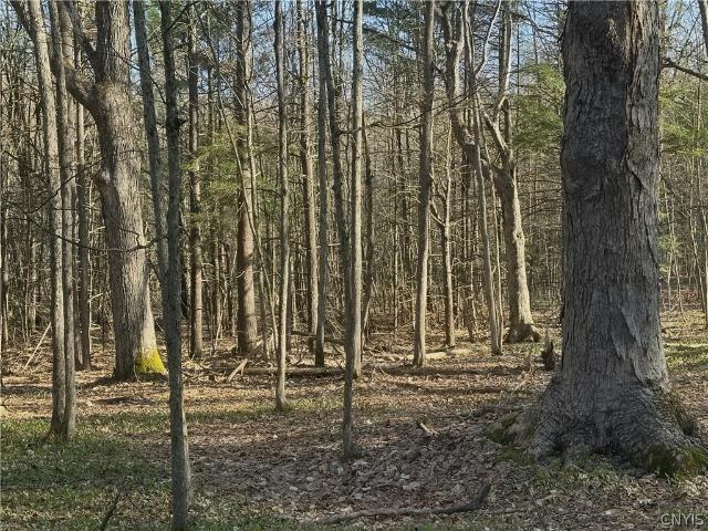 0 Lead Mine Rd