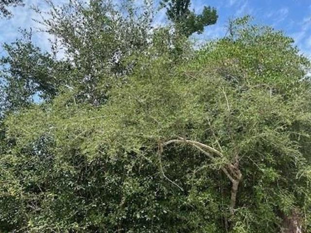 0 Ledoux Rd, Lake Charles, LA 70615 | MLS #SWL25100 | Compass