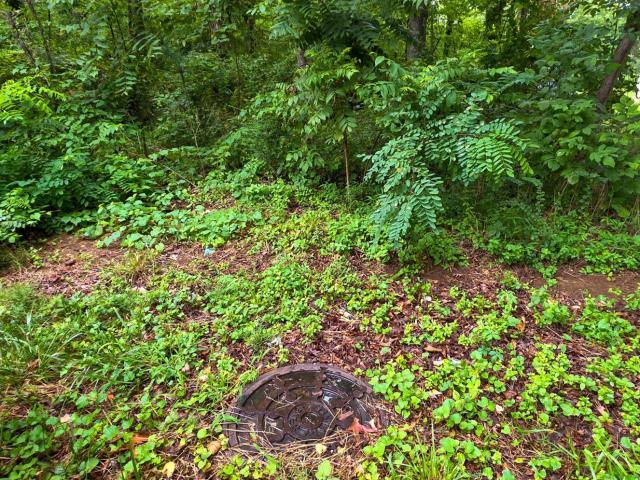 0 Lee Grant, Lot 1 Avenue