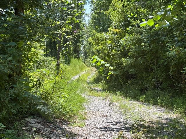 0 Lee Station Mountain Road