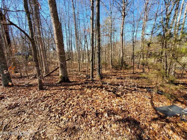 0 Lester Jarnigan Rd