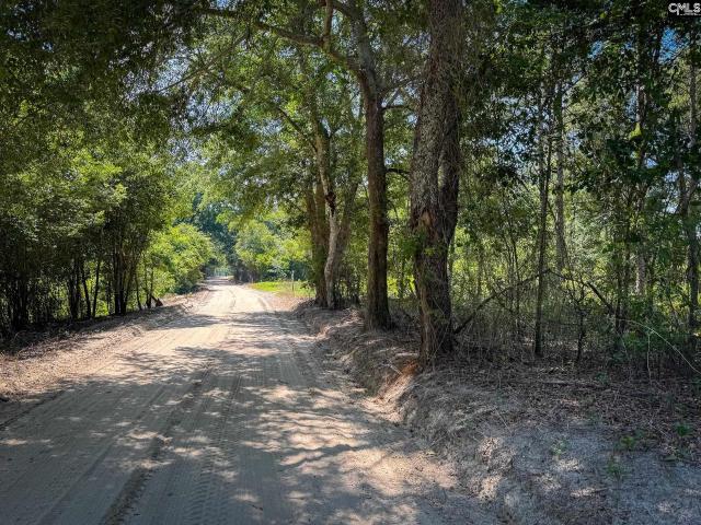 0 Lewis Waters Road Lot 2