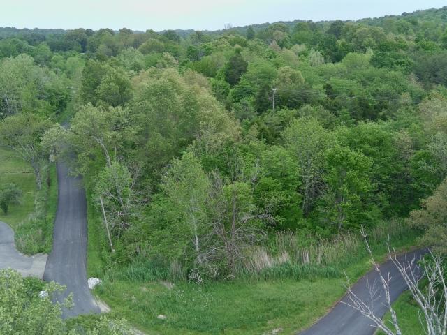 0 Lewistown Church Road