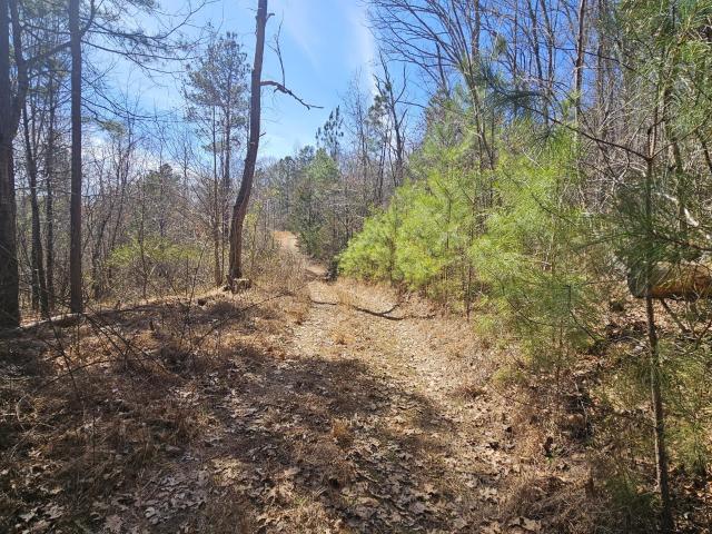 0 Lick Creek Rd