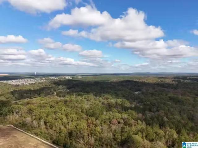 0 LIMESTONE DRIVE # METES AND BOUNDS, CALERA, AL 35040 Vacant.